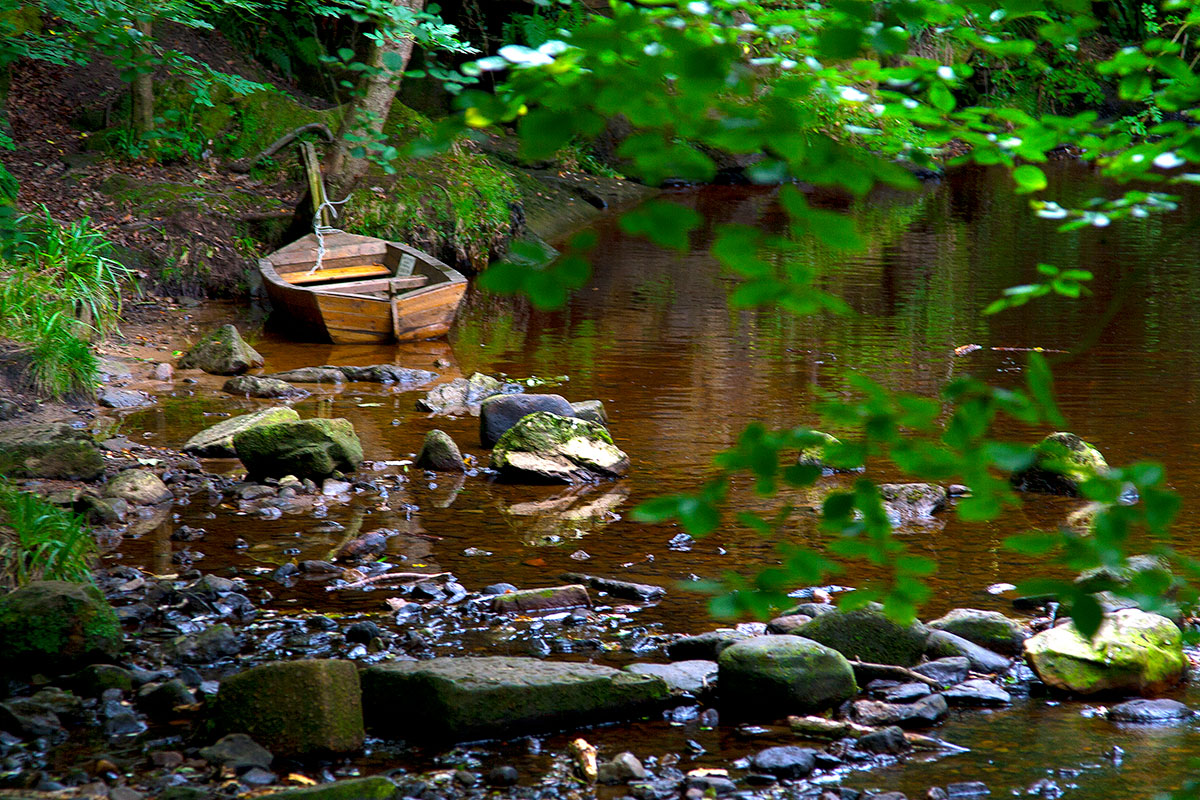 Goathland – Centenary Way – Simon Howe circular walk – Walk-Yorkshire